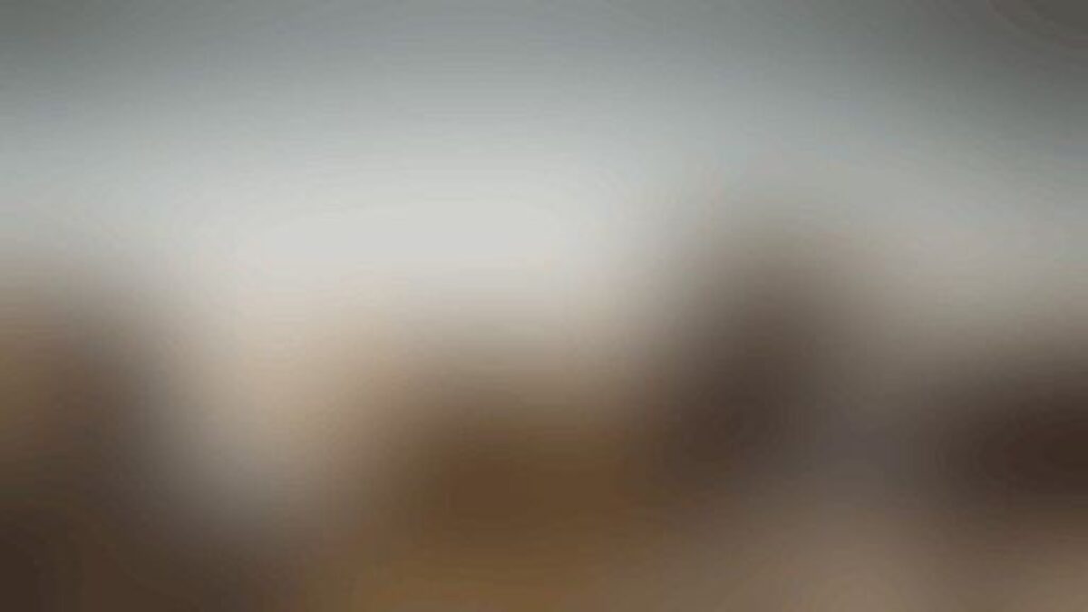 Déčko hry — Zahrádka pod hvězdami: Puzzle č. 3 – Videa – Déčko – Česká ...