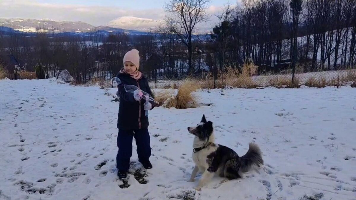 Vaše videa na Déčku — Terčin zvířecí svět – únor 2025 – Matilka – Videa ...