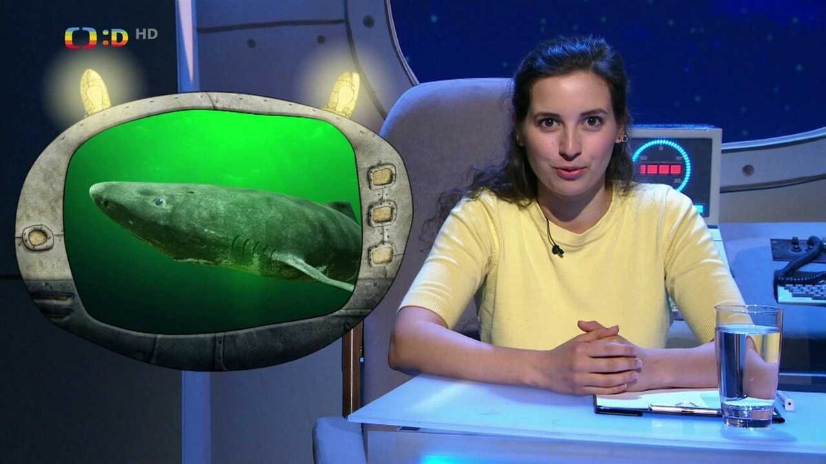 Planeta Yó — 14. 11. 2022 – Videa – Déčko – Česká televize