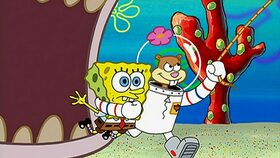 SpongeBob v kalhotách – Pořady – Déčko – Česká televize