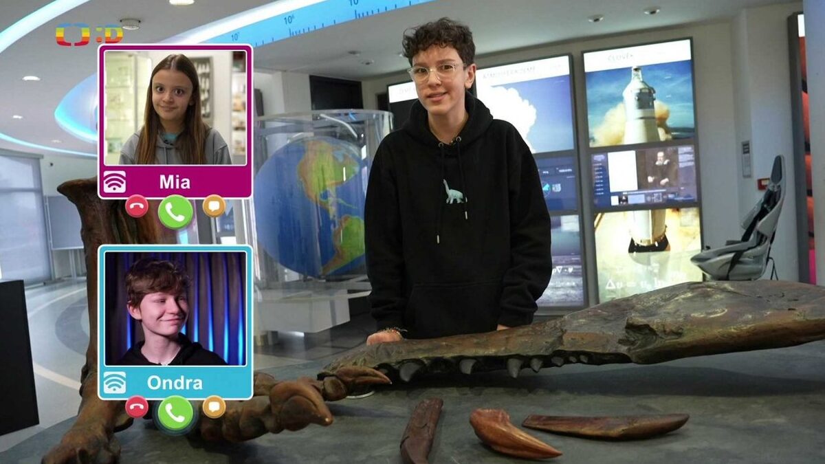 Wifina — Společnost: Zánik dinosaurů – Videa – Déčko – Česká televize