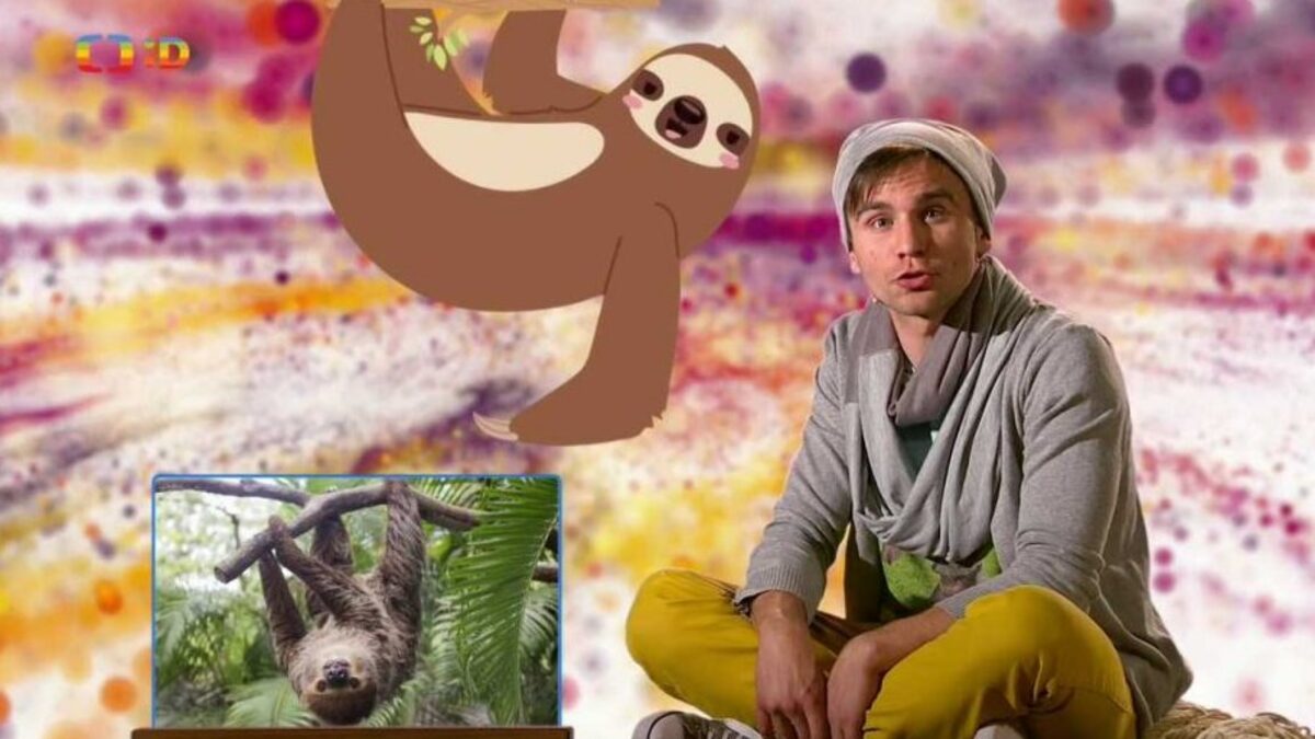 Planeta Yó — Zaostřeno na: Lenochod – Videa – Déčko – Česká televize