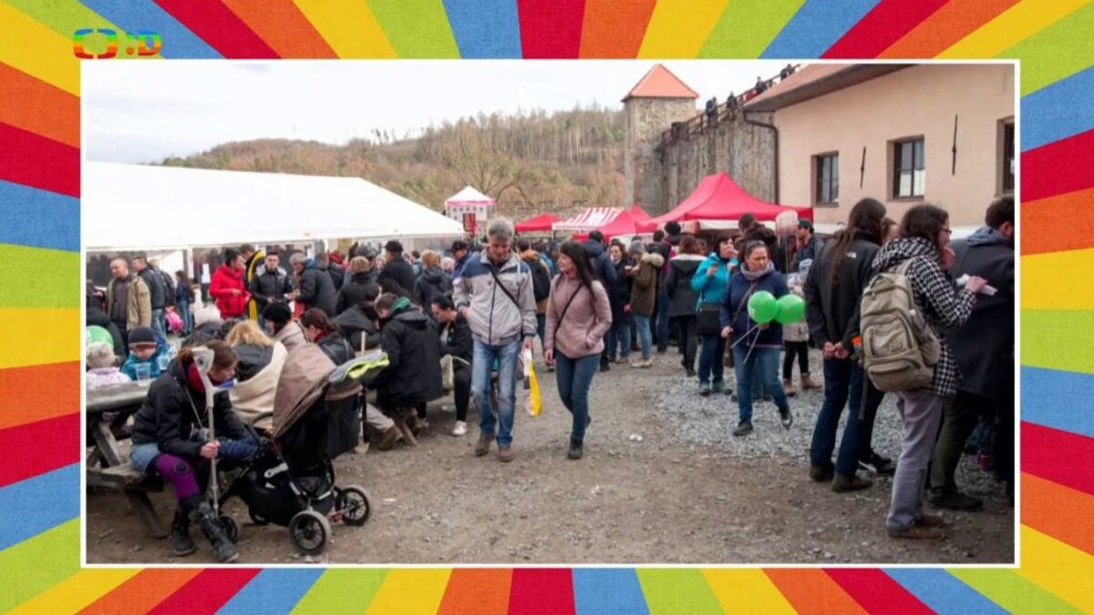 Tamtam — Ochutnej Česko na hradě Veveří – Videa – Déčko – Česká televize
