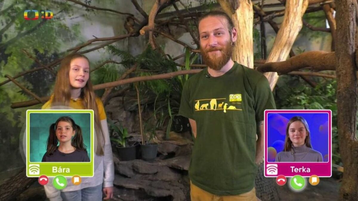 Wifina — Příroda: Lenochod – Videa – Déčko – Česká televize