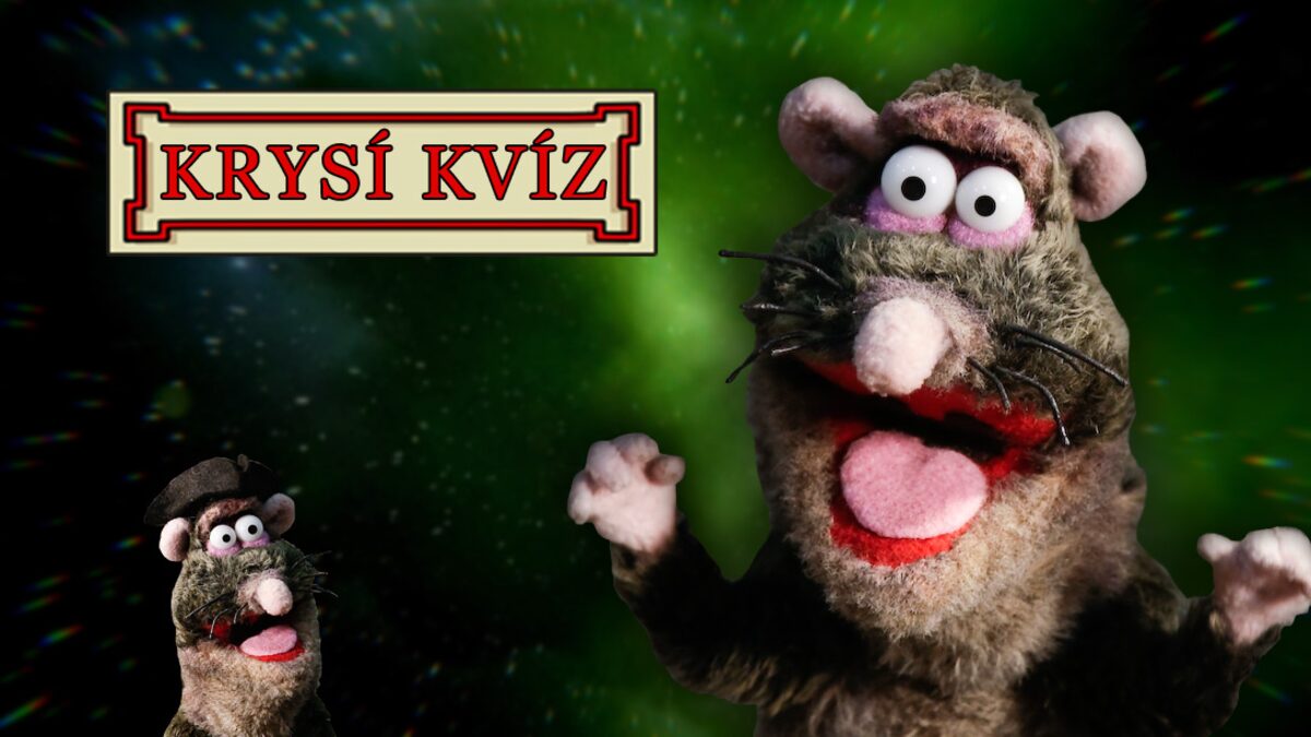 Krysí kvíz – Hry – Déčko – Česká televize