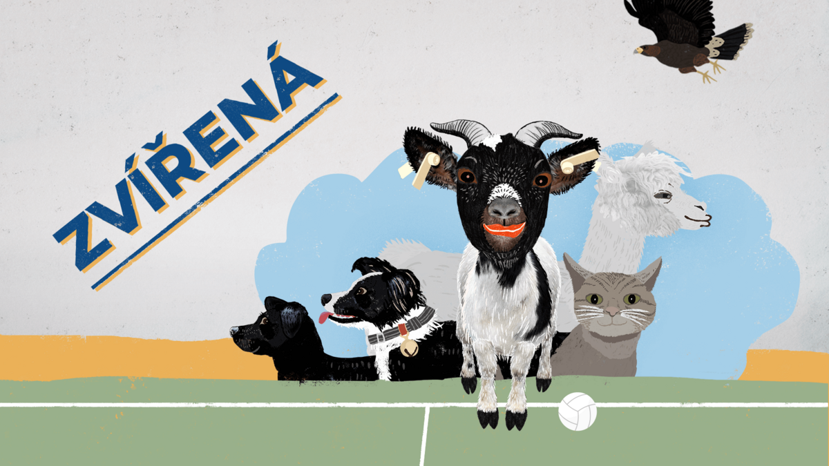 Zvířená – Hry – Déčko – Česká televize